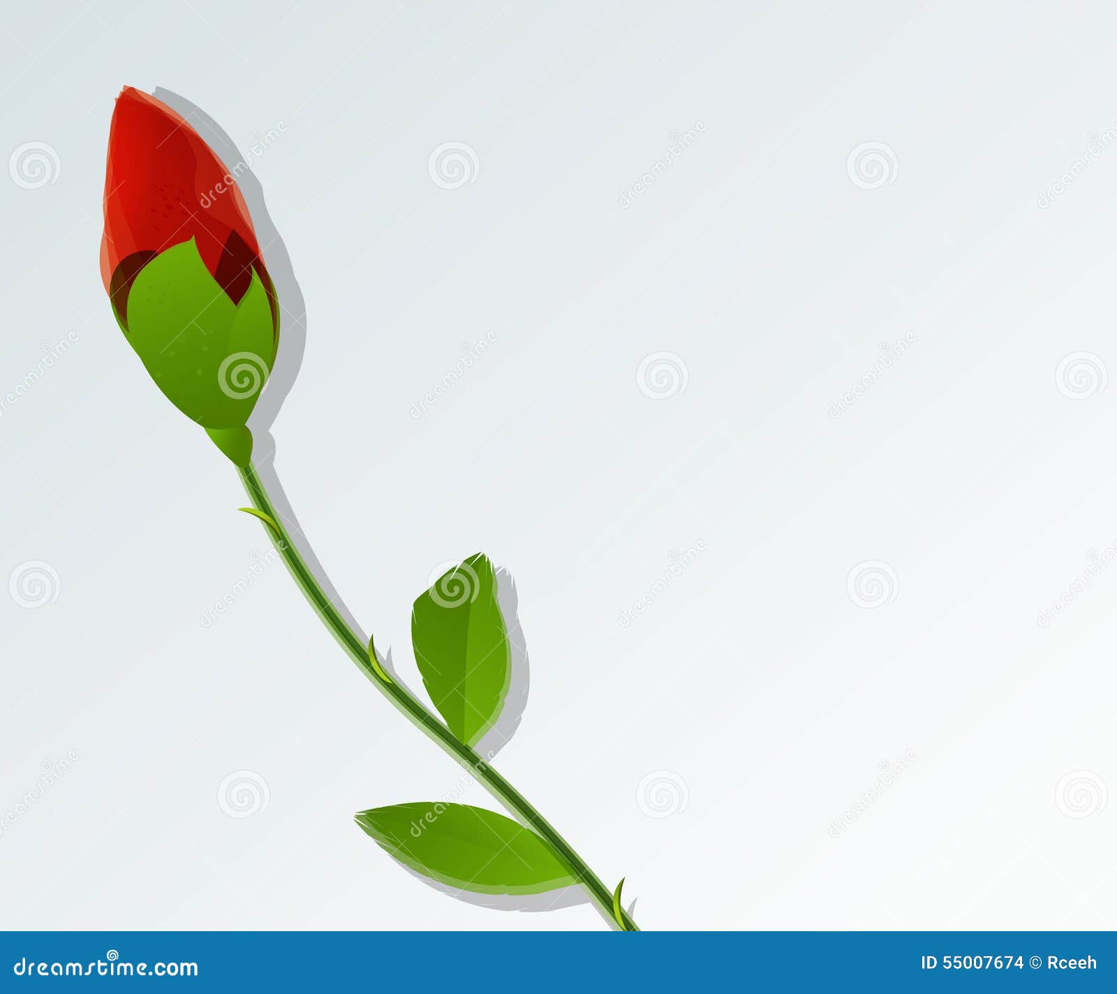 Young red rose text card stock vector. Illustration of symbol - 55007674
