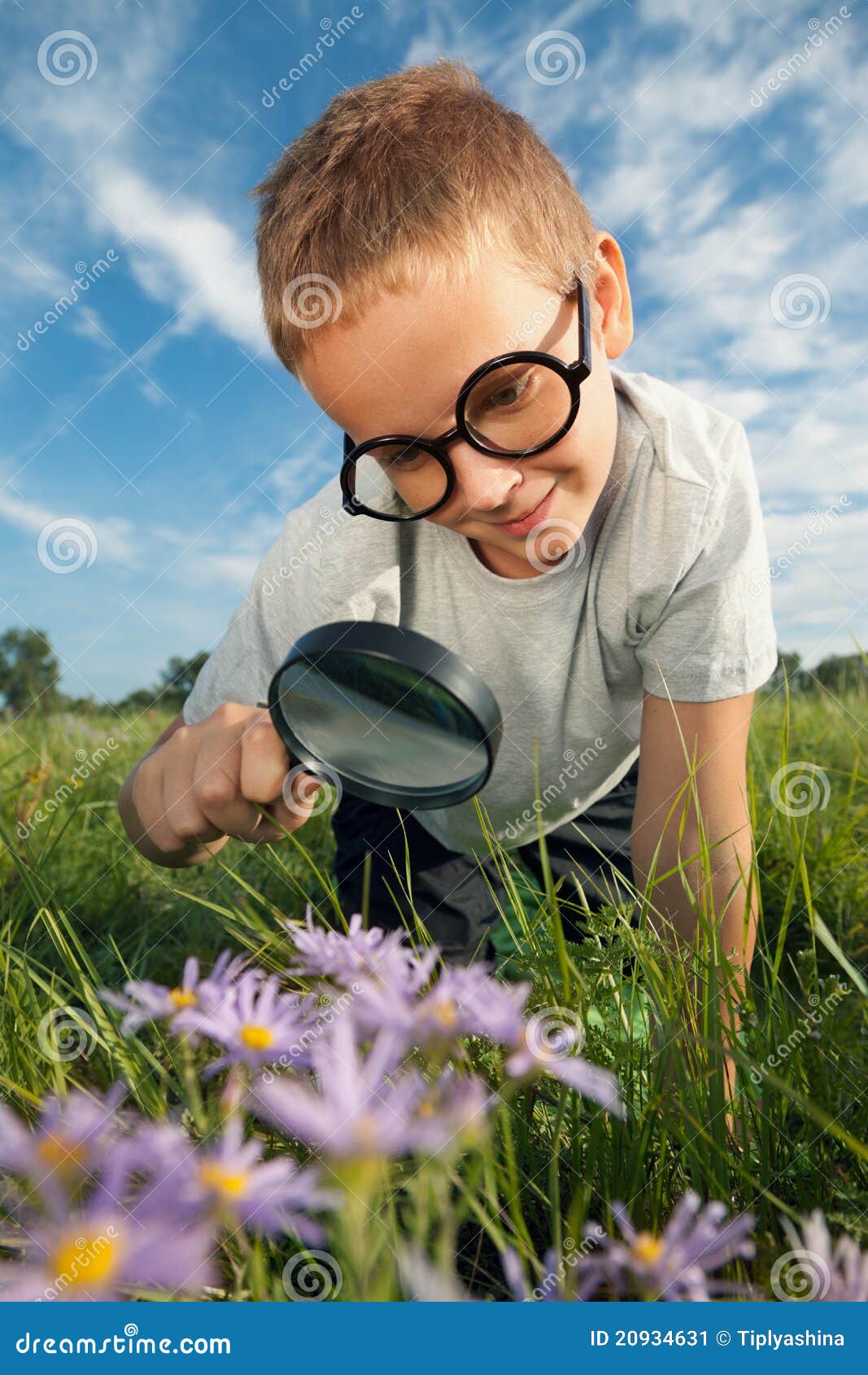 The young researcher stock image. Image of look, garden - 20934631