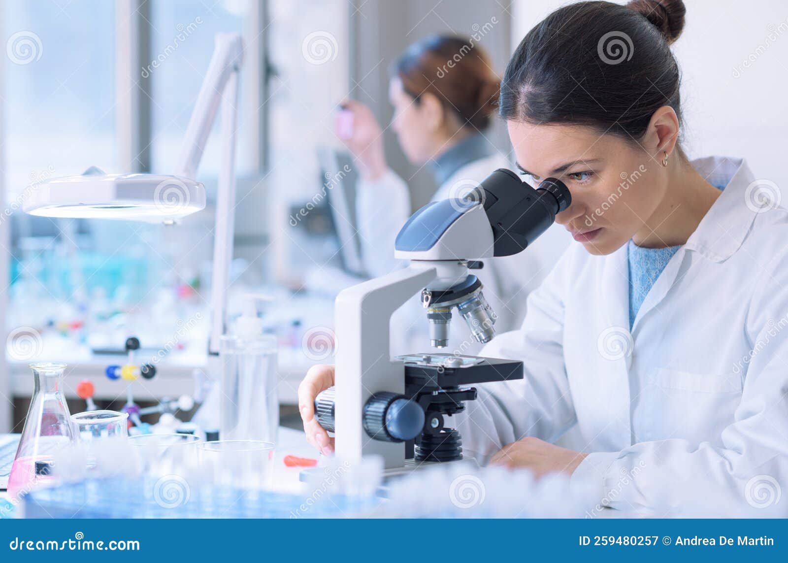 Young Researchers Working in the Clinical Laboratory Stock Image ...