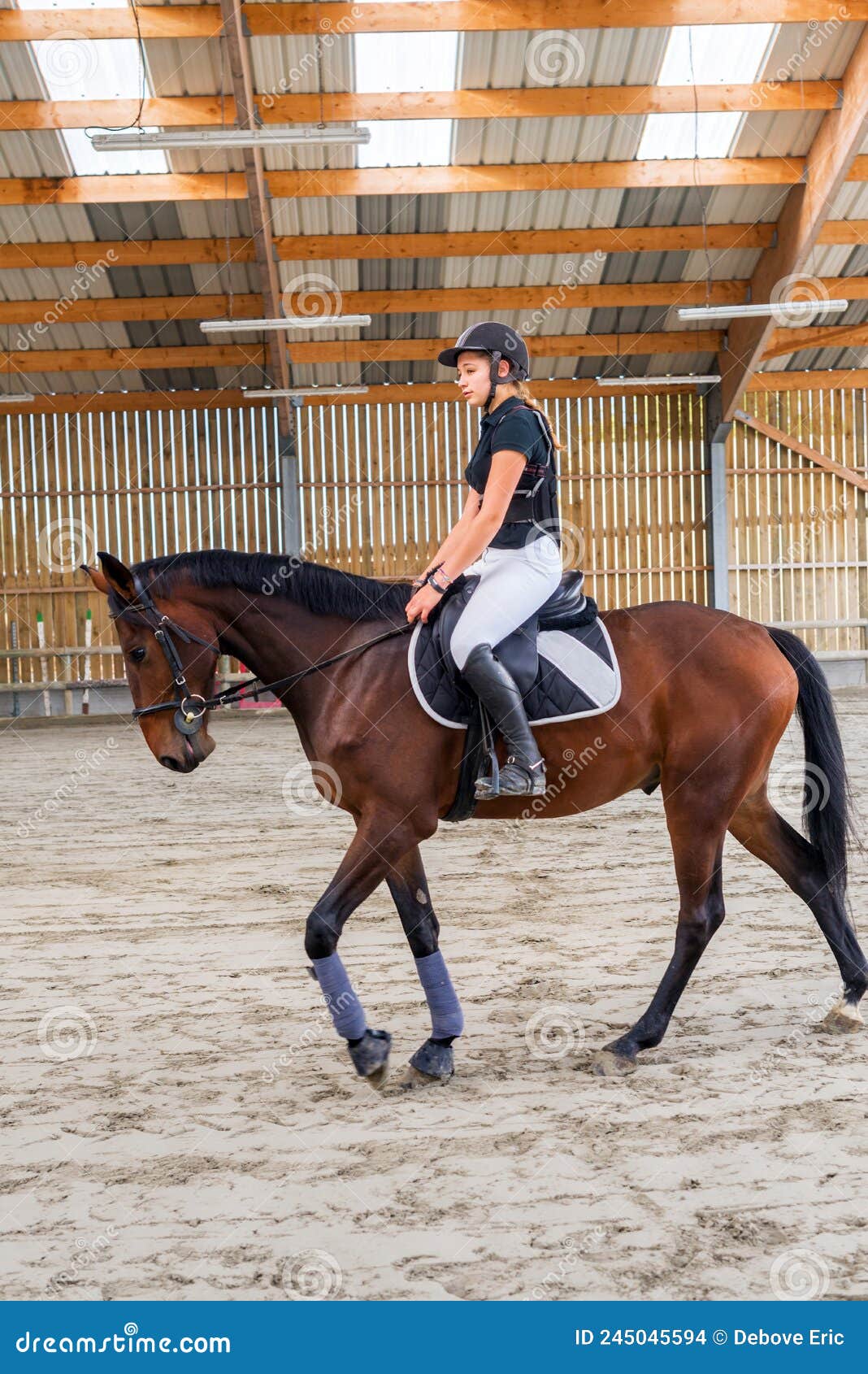 Face of a Young Rider Walking in Step with Their Mare Stock Photo ...