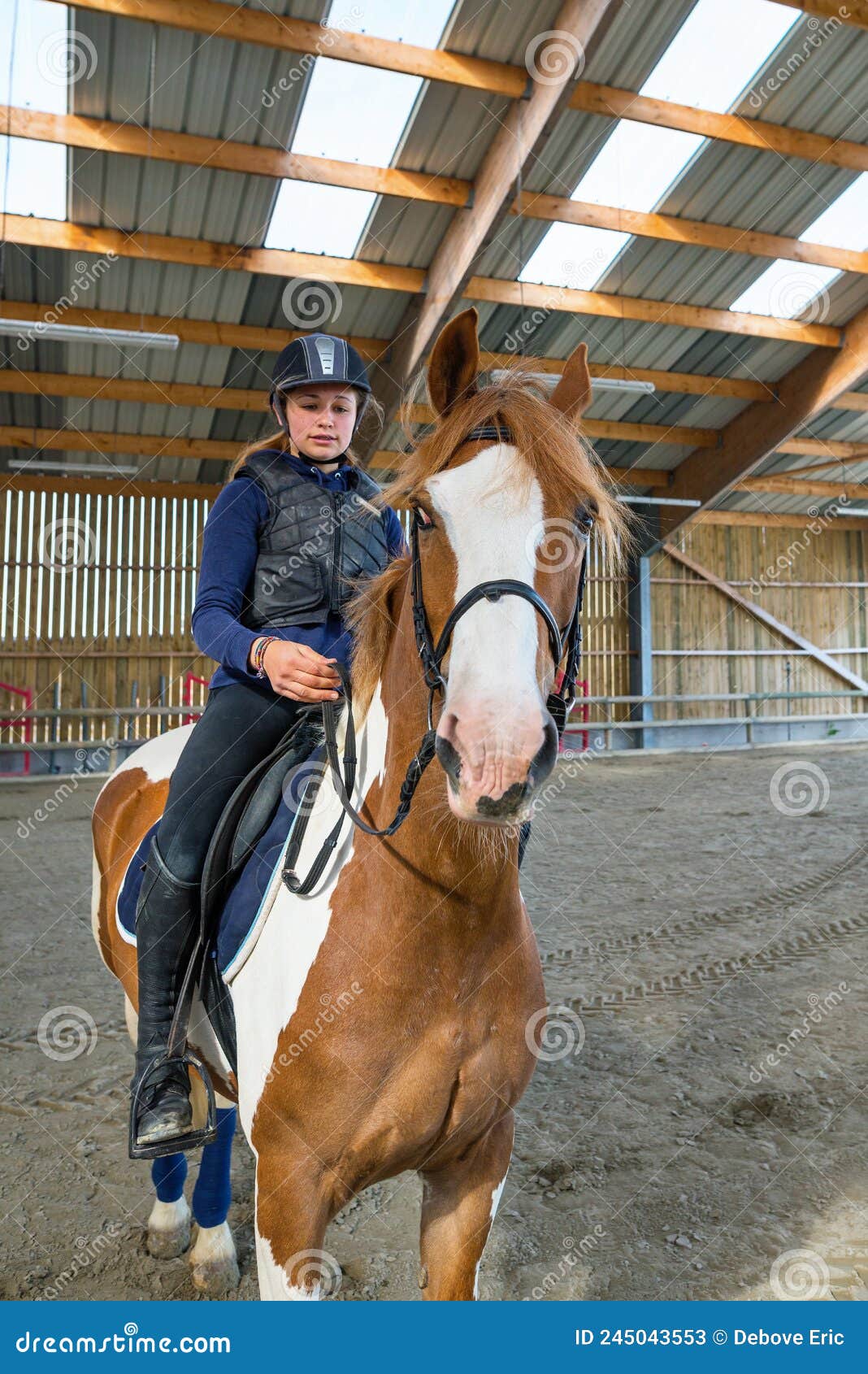 Young Rider Walking in Step with Their Mare Stock Image - Image of ...