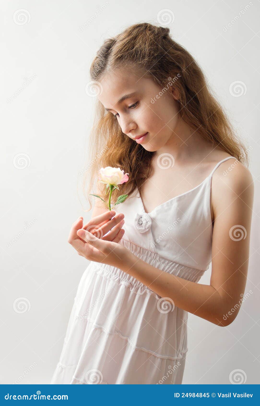 Young rose stock image. Image of innocence, girl, blonde - 24984845