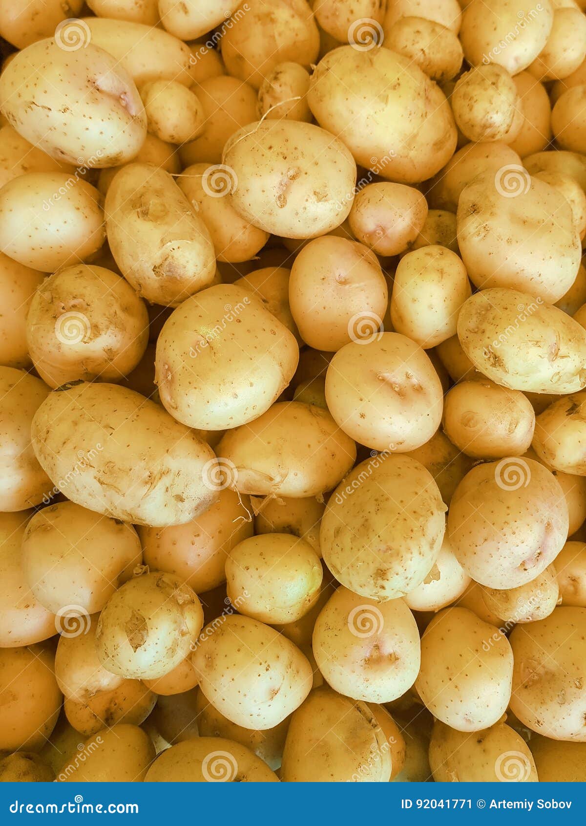 Young Round Potatoes Close-up Stock Image - Image of potato, healthy ...