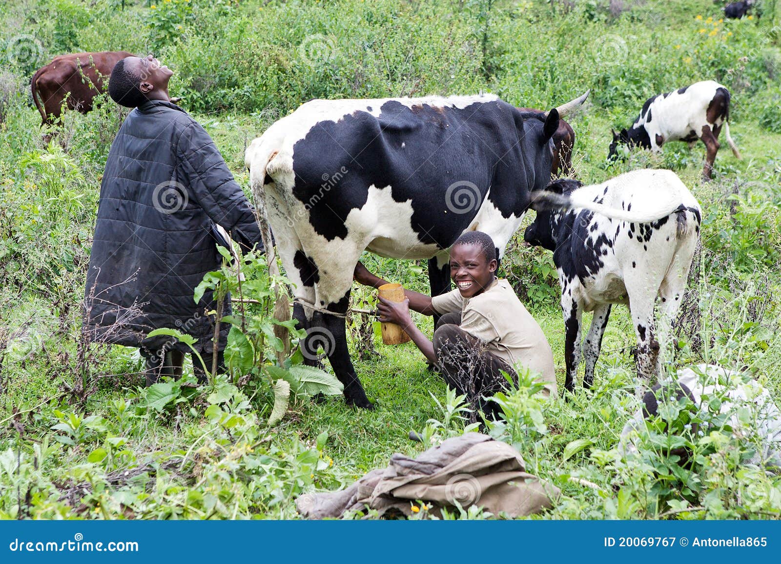 Young rwandan farmers editorial photography. Image of farmers - 20069767