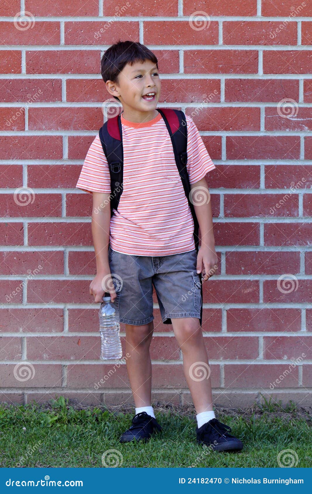 Young School Boy stock photo. Image of happy, student - 24182470