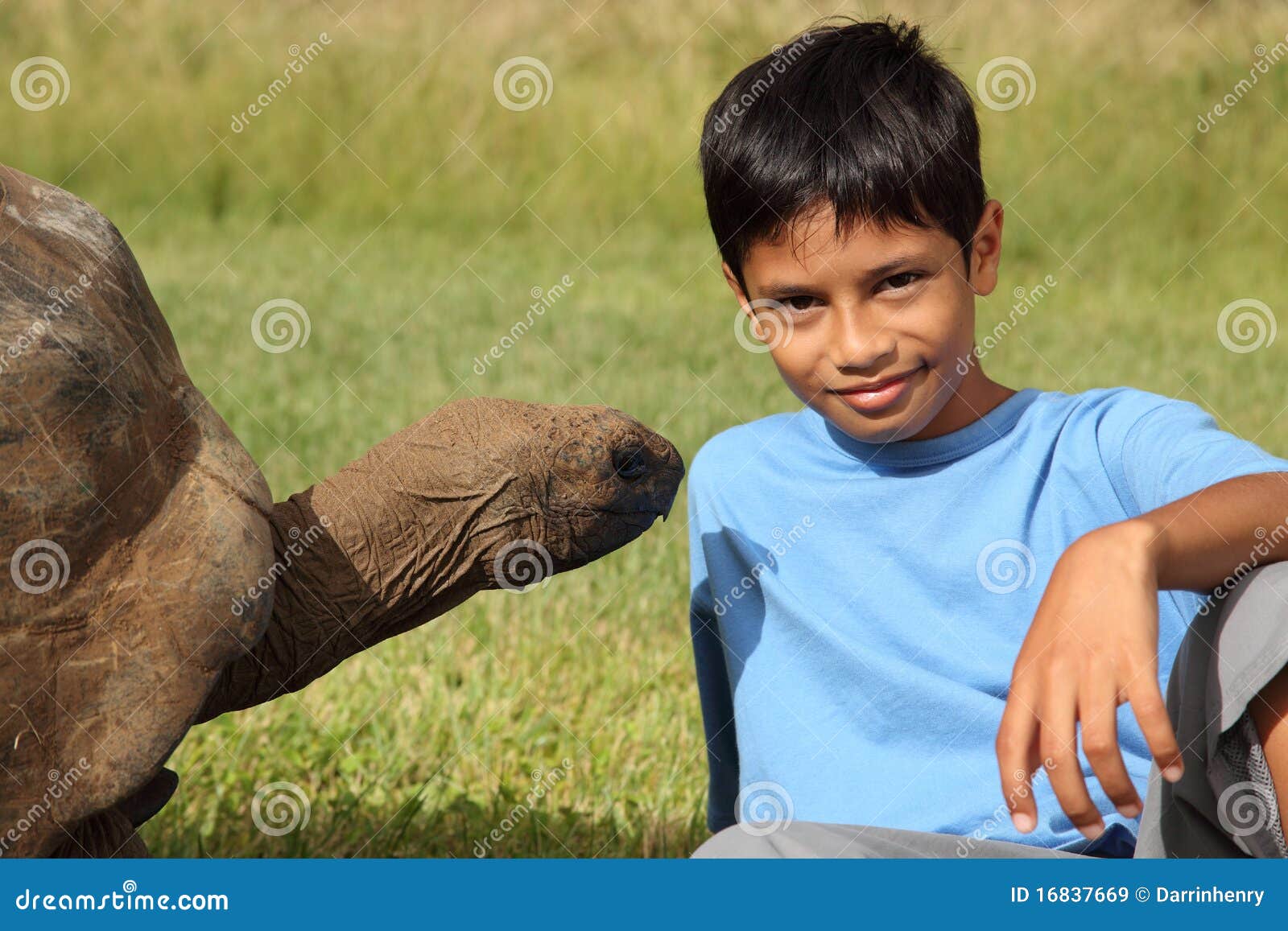 Young School Boy Sitting Alongside Giant Tortoise Stock Image - Image ...