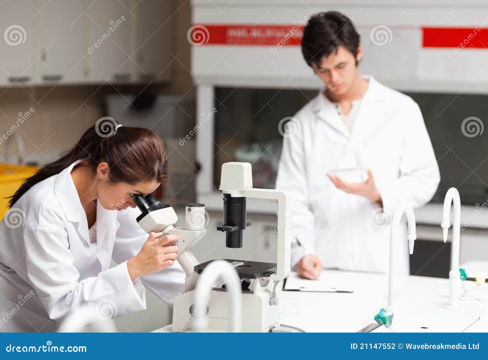Young Science Students Making Experiments Stock Photo - Image of ...