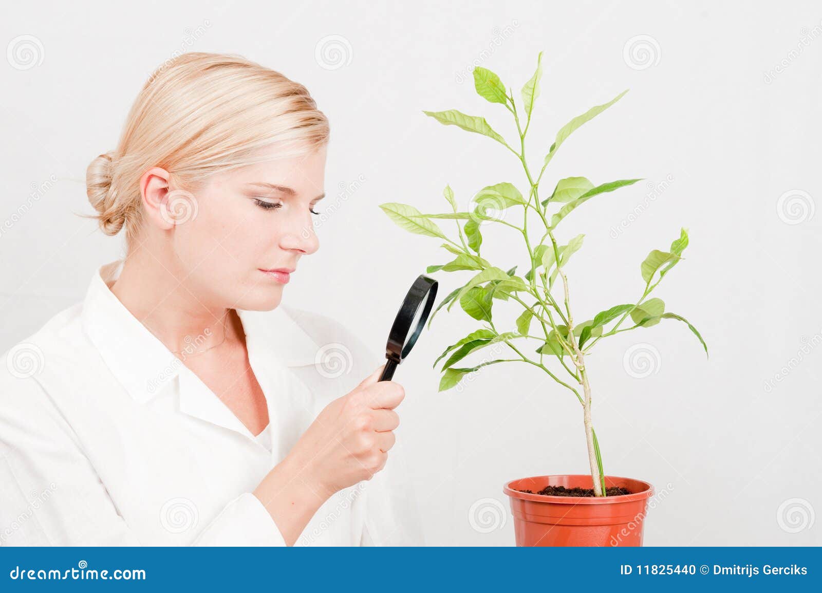 Young Scientist Botanic with Green Tree Stock Photo - Image of botanic ...