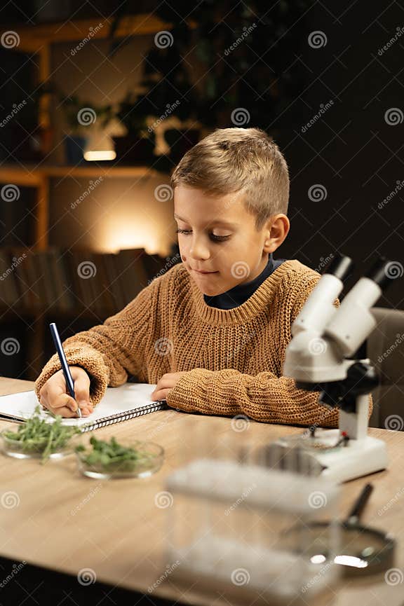 Young Scientist Doing Some Experiments with Microscope at Home ...