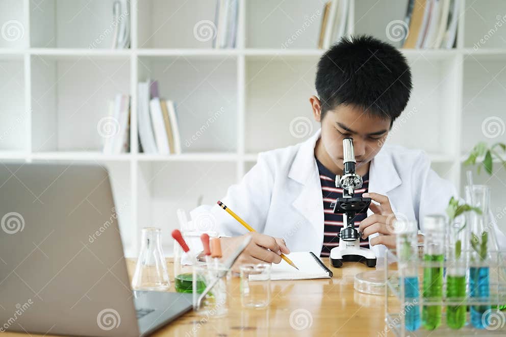 Young Scientist: Elementary Schoolboy Explores with Microscope Stock ...