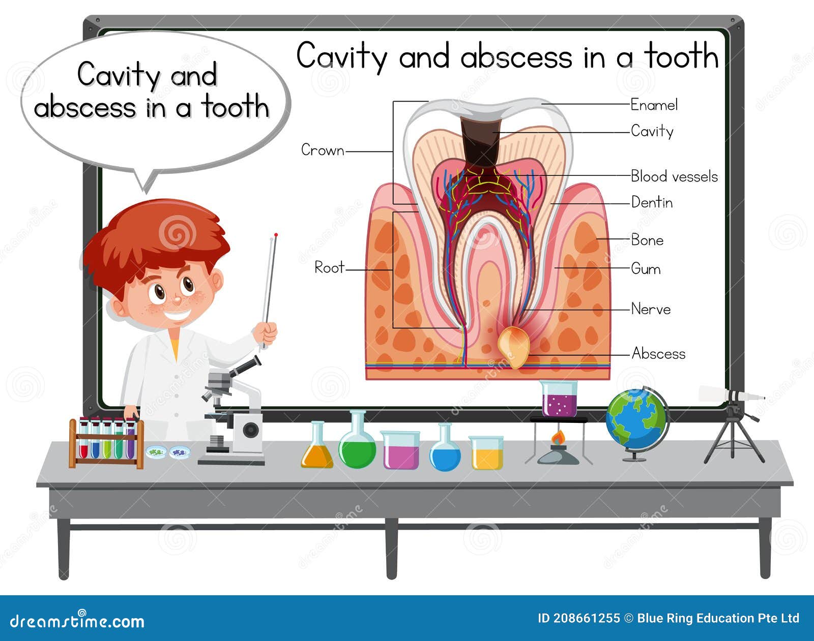 Young Scientist Explaining Cavity and Abscess in a Tooth in Laboratory ...