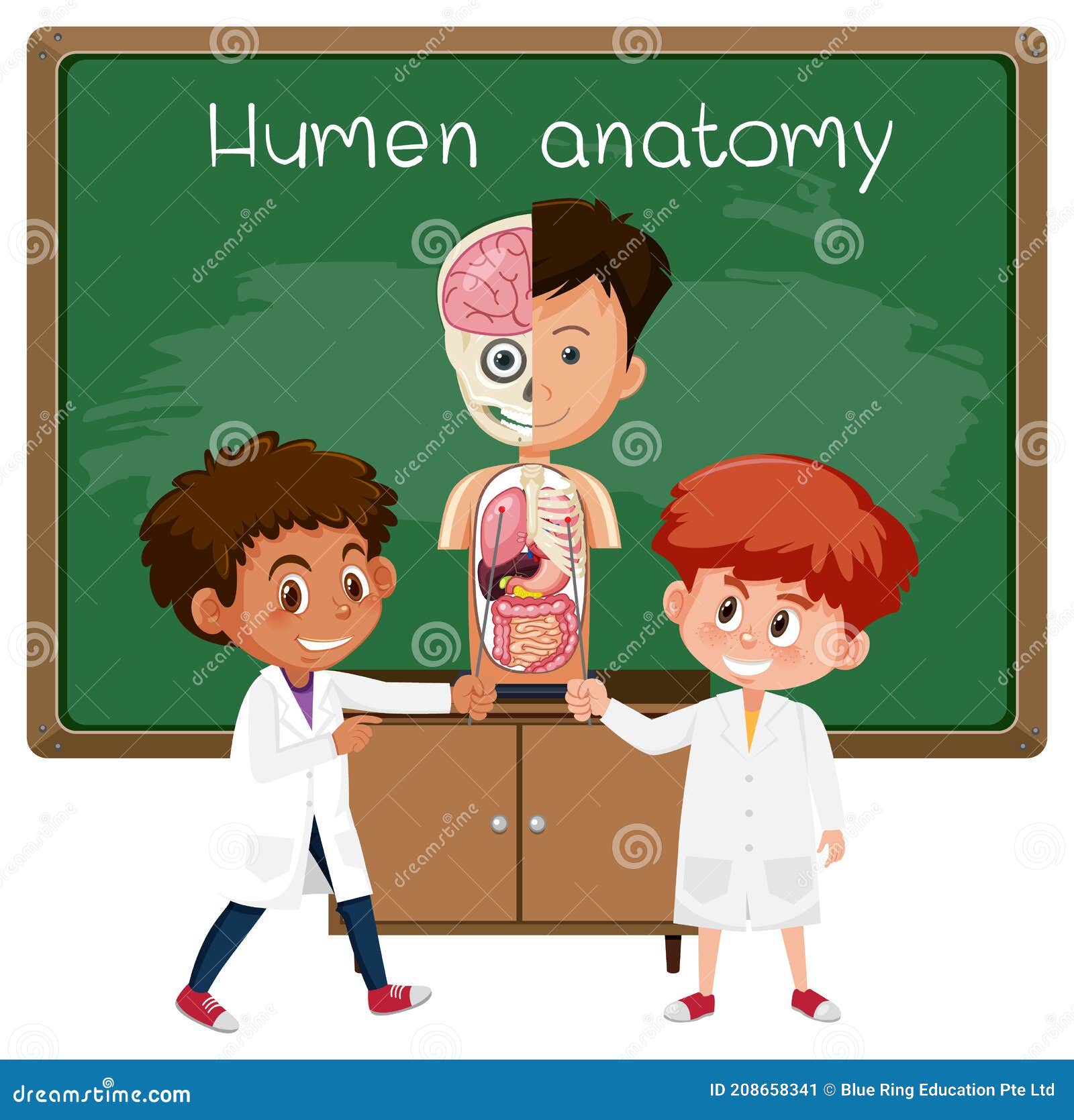 Young Scientist Explaining Human Anatomy in Front of a Board with ...