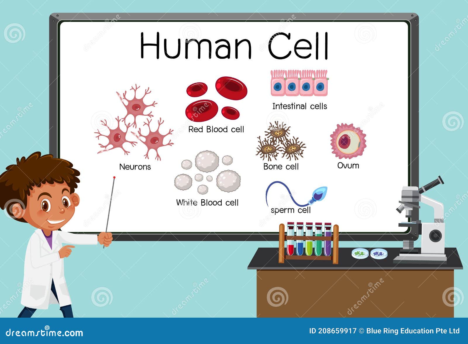 Young Scientist Explaining Human Cell in Front of a Board in Laboratory ...