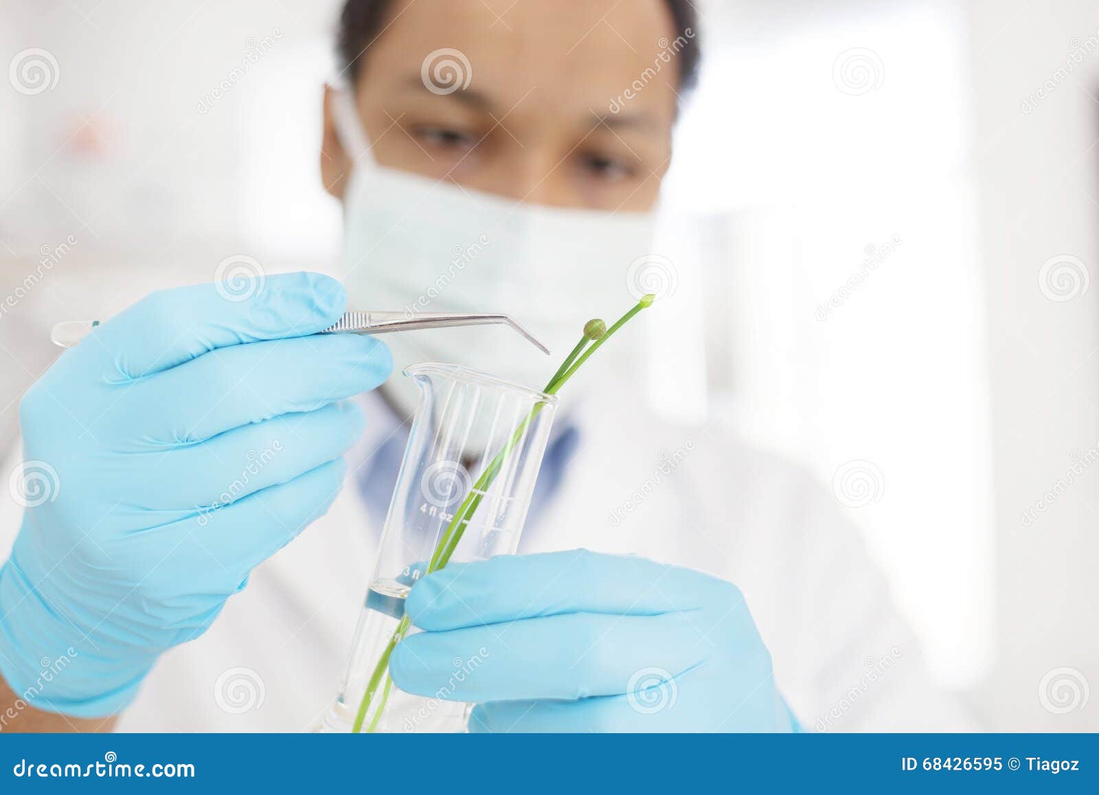 Young Scientist in Life Science Laboratory Stock Image - Image of ...