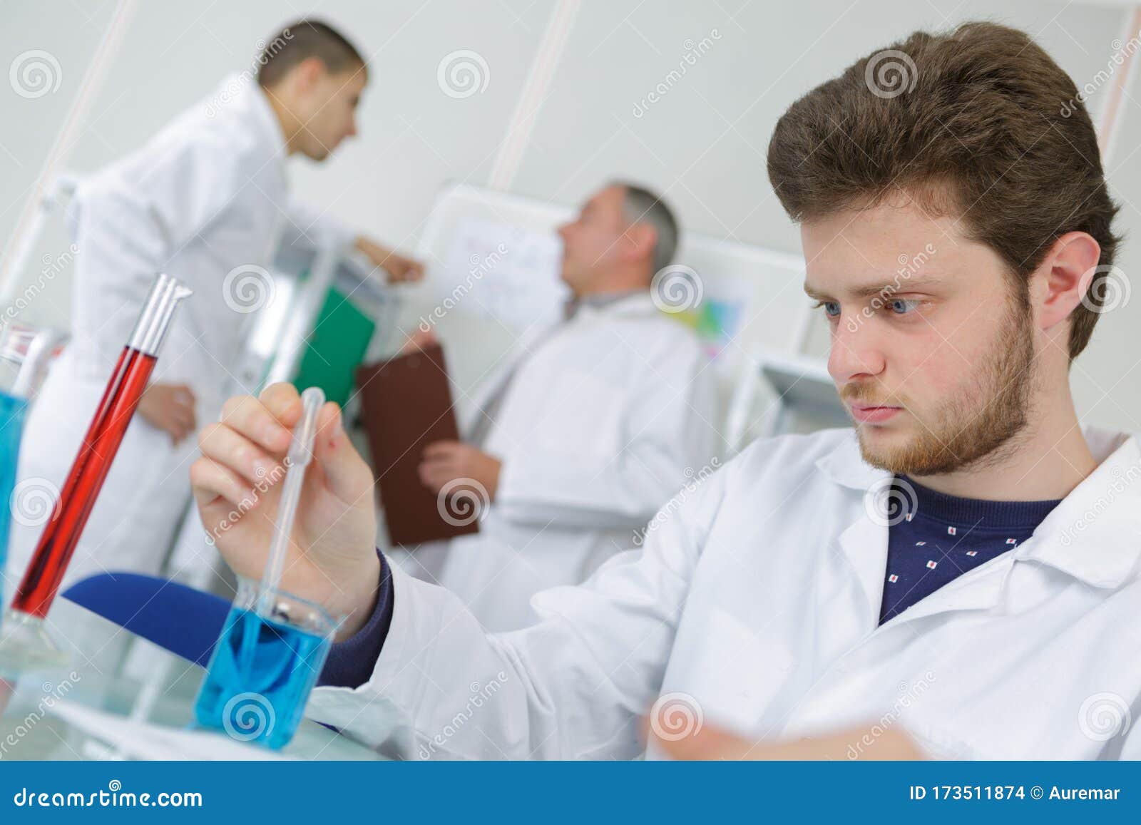 Young Scientist Observing Liquid Reagent in Laboratory Stock Photo ...