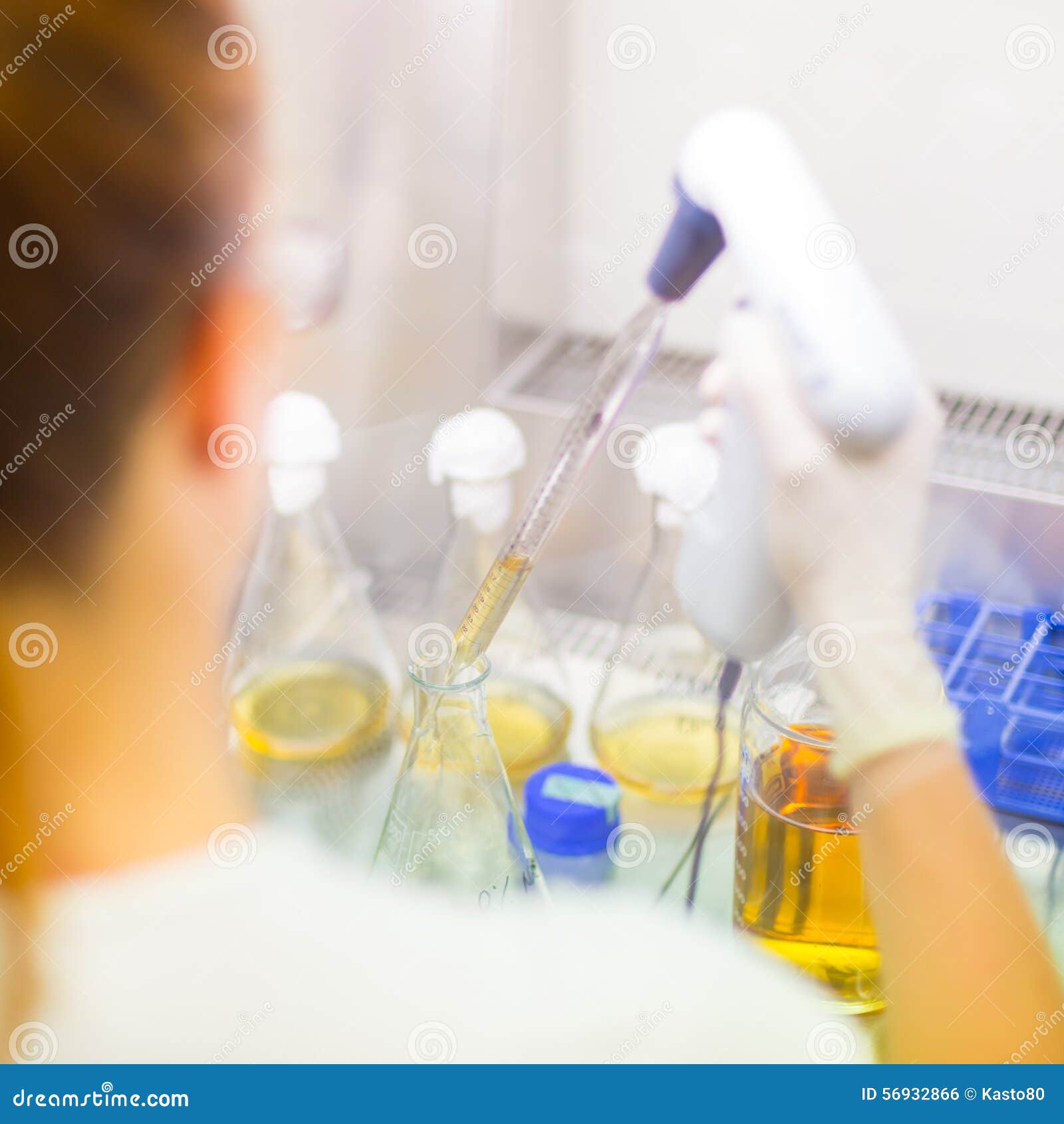 Young Scientist Pipetting Solution. Stock Photo - Image of bacteria ...