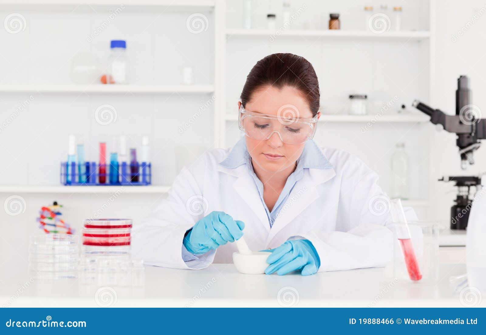 Young Scientist Preparing an Experimentation Stock Photo - Image of ...