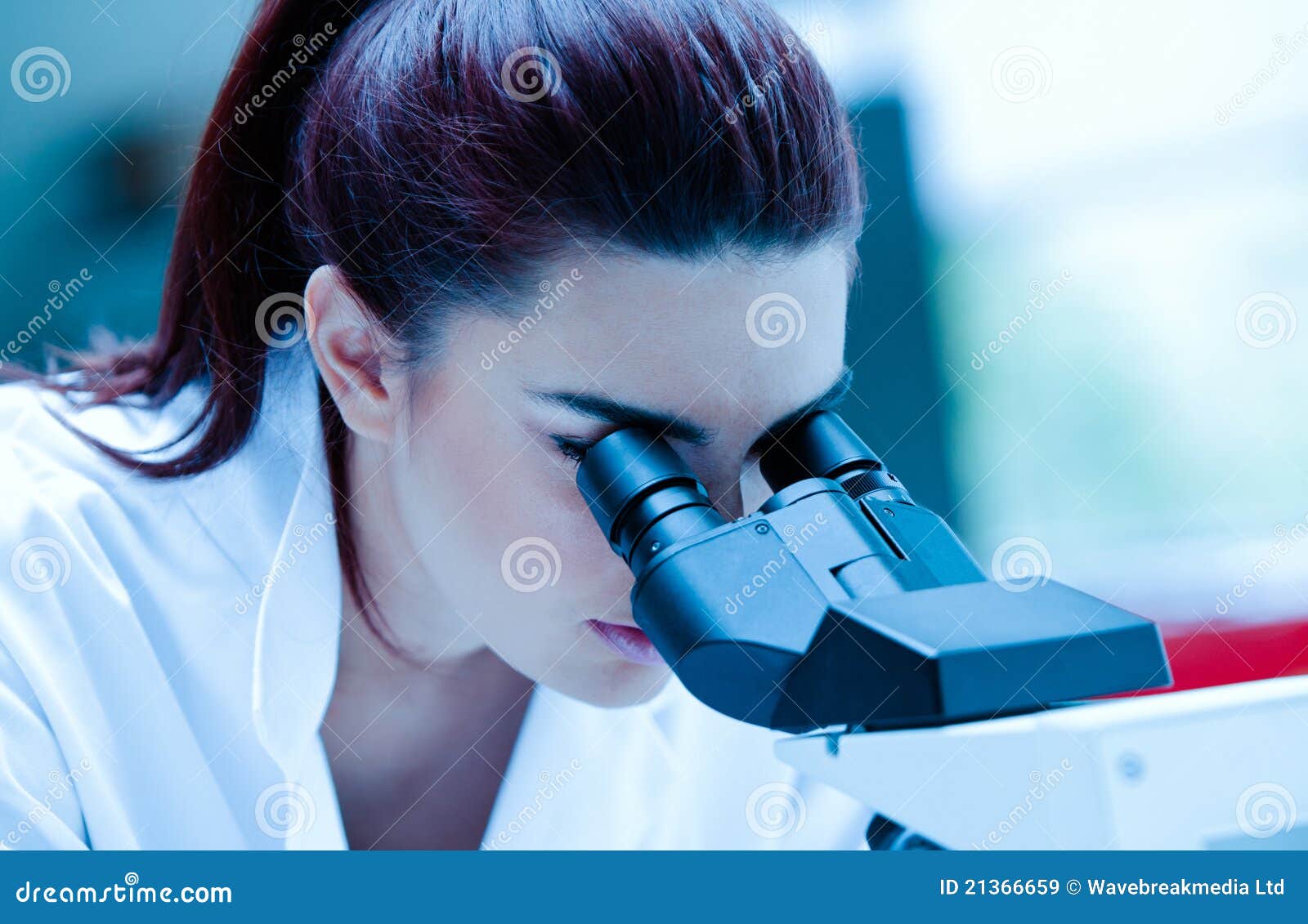 Young Scientist Using a Microscope Stock Image - Image of coat, care ...