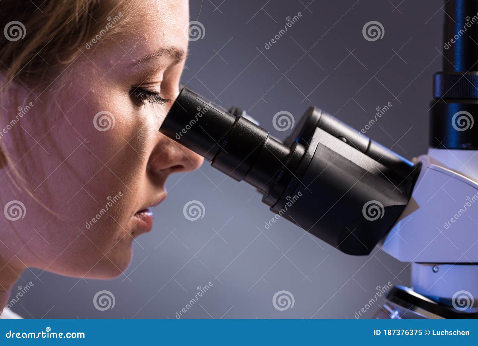 Young Scientist Using a Microscope in a Laboratory Stock Image - Image ...