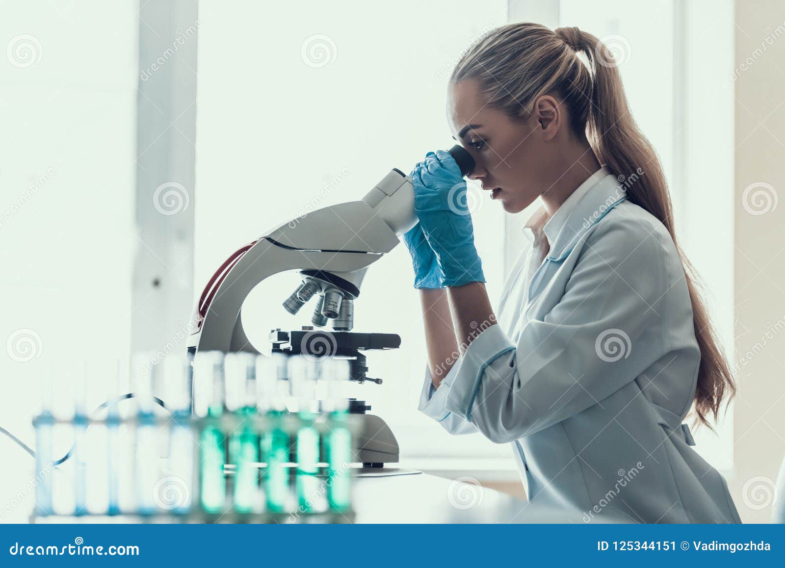 Young Scientist Using Microscope in Laboratory Stock Image - Image of ...