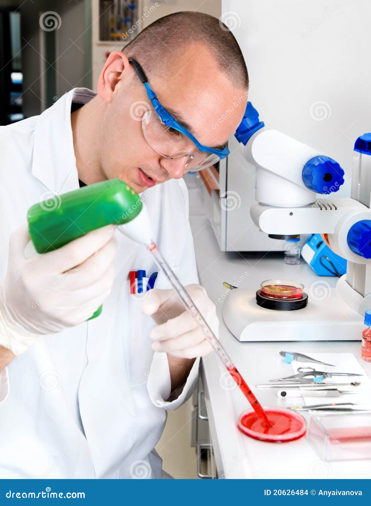 Young Scientist Works in the Lab Stock Photo - Image of serious ...