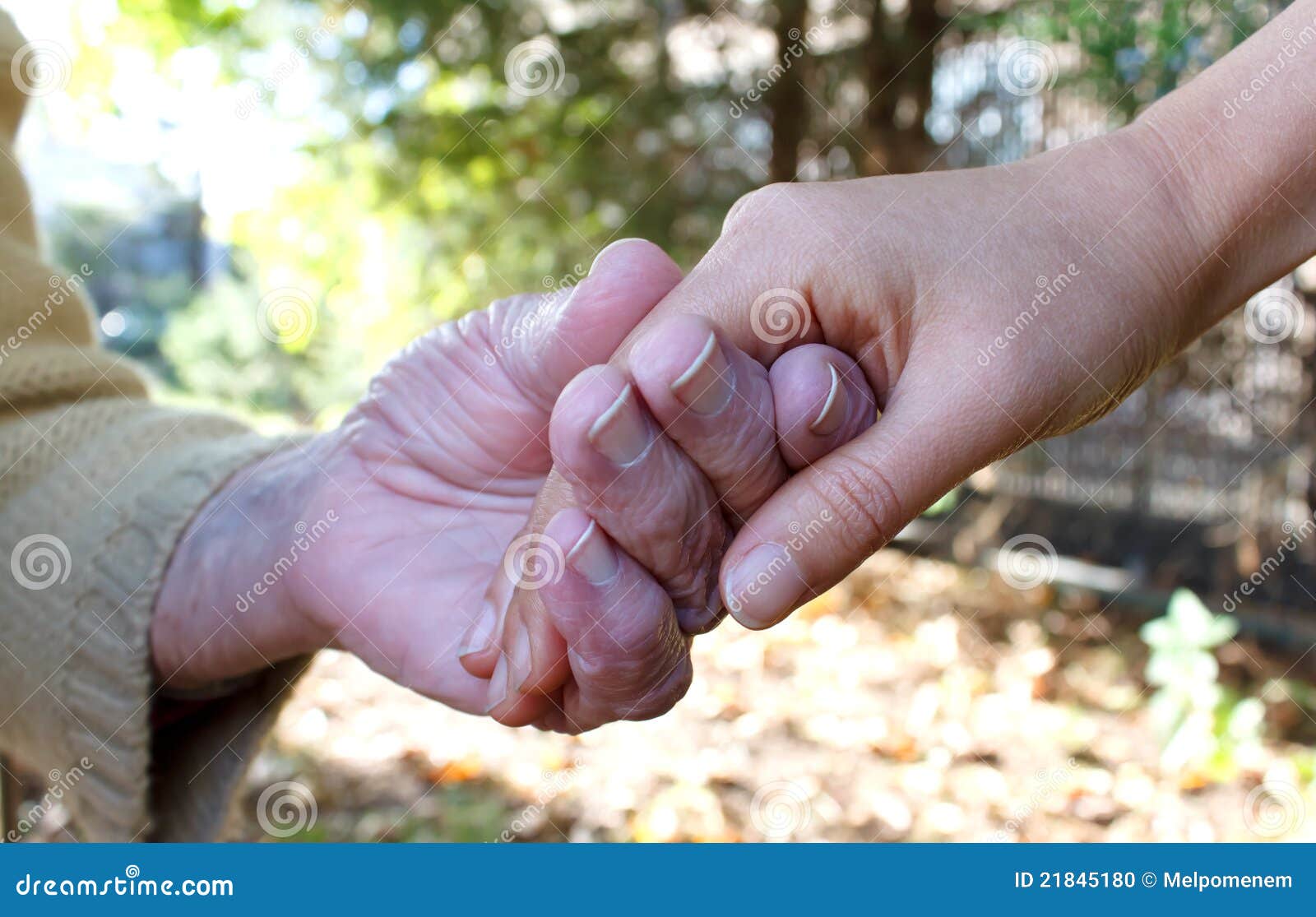 Young and Senior Holding Hands Stock Photo - Image of beige, aging ...