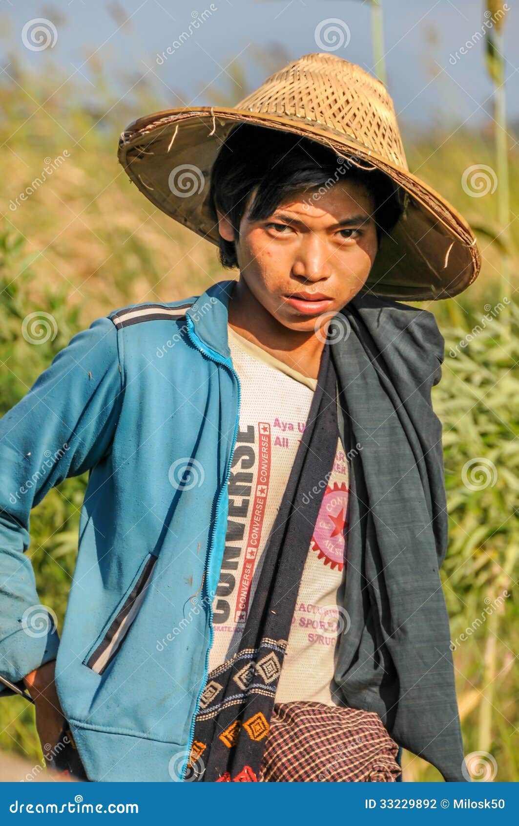 Young Shepherd Boy Cows editorial photography. Image of burma - 33229892