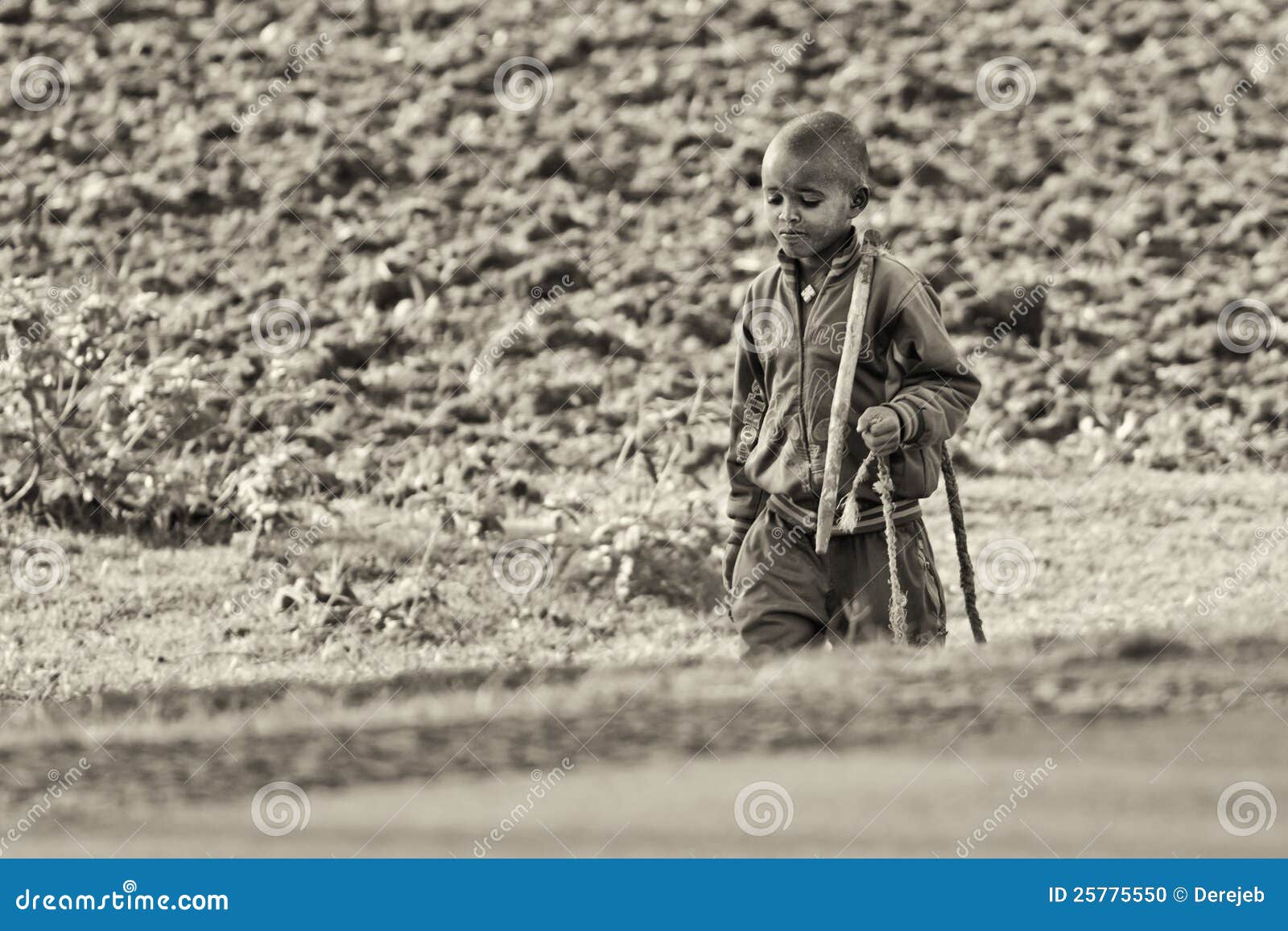 A Young Shepherd Comes Back from the Fields Editorial Image - Image of ...