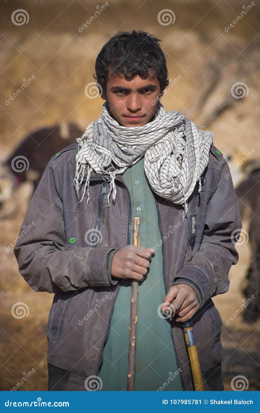 A Young Shepherd Boy With His Flock Near Chaghcharan, Ghor Province ...