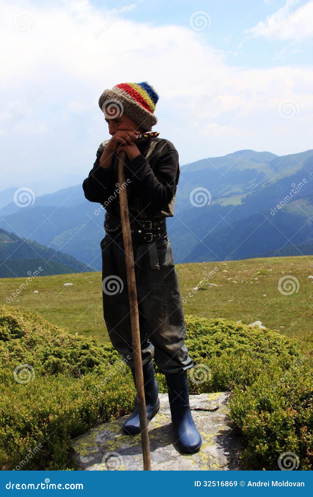 Young shepherd resting editorial stock image. Image of thinking - 32516869