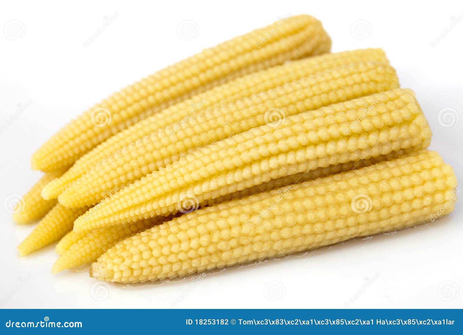 Young small corn stock photo. Image of food, ingredient - 18253182