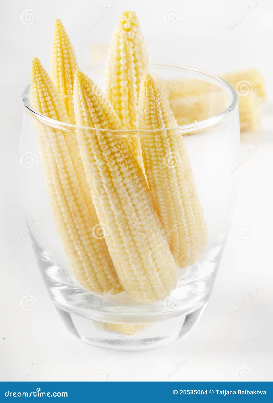 Young small corn stock photo. Image of group, vegetable - 26585064