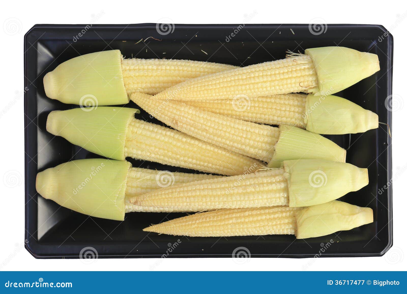 Young Small Corn on White Background Stock Image - Image of closeup ...