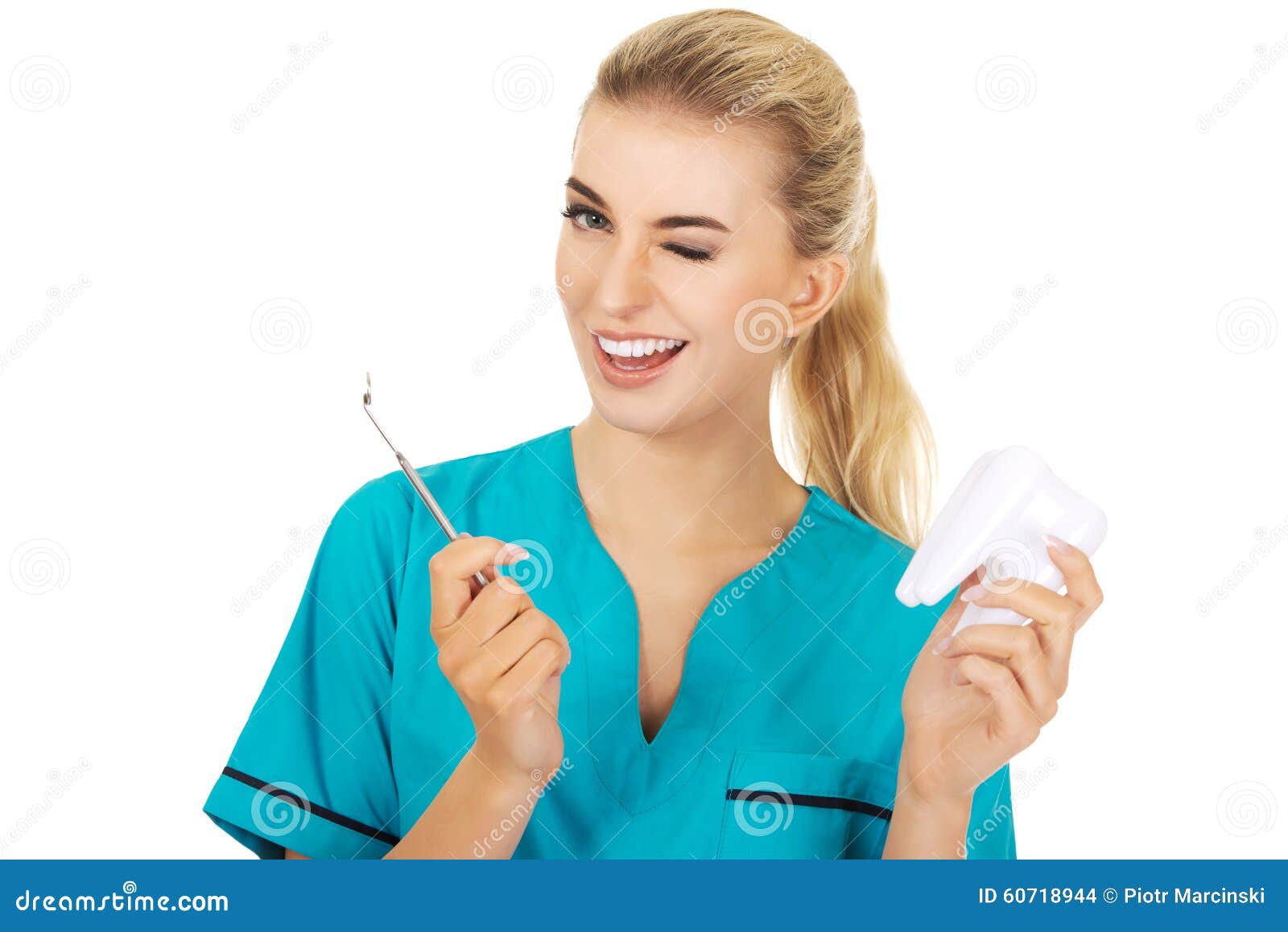 Young Smile Dentist Holding a Tooth Model Stock Photo - Image of adult ...