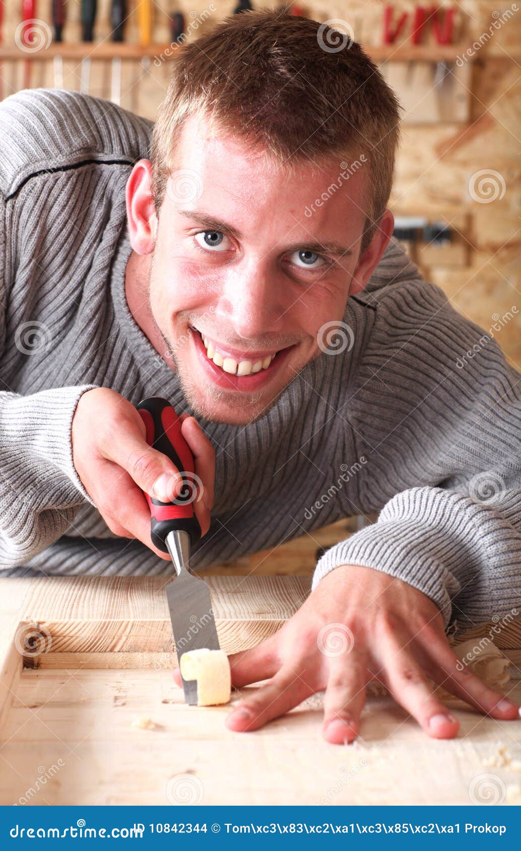 Young smiling carpenter stock photo. Image of carpentry - 10842344