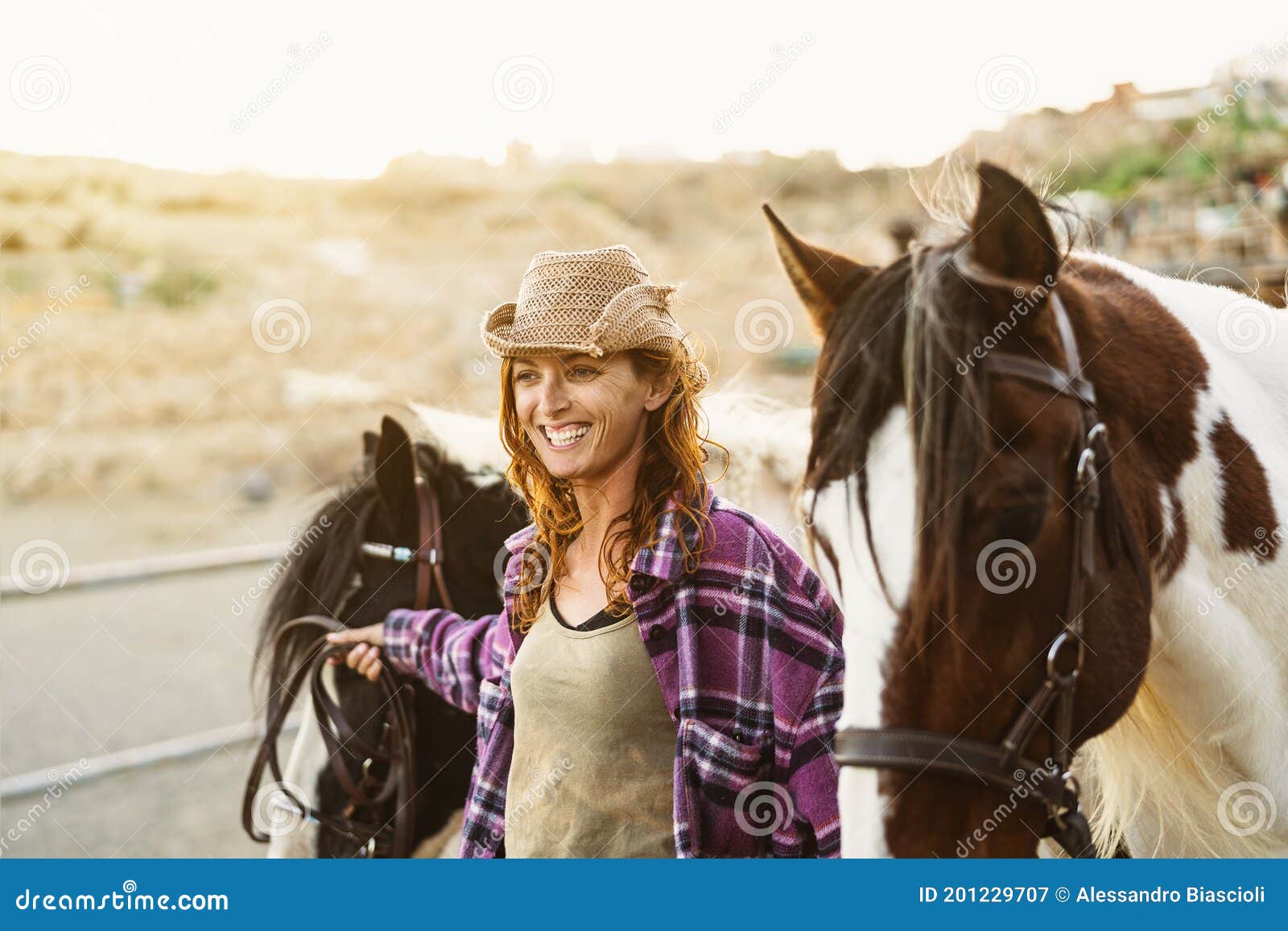 Young Smiling Farmer Taking Care of Horses Inside Ranch Stock Image ...