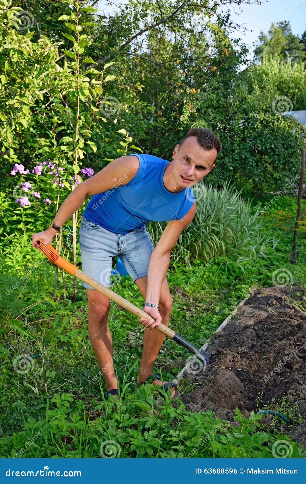 Young Smiling Man Digging a Garden Bed for Planting Apple Trees Stock ...