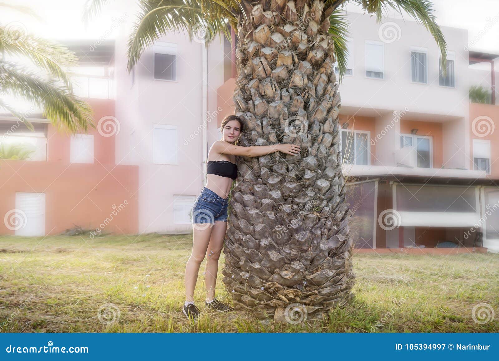 Woman is Hugging a Palm Tree Stock Image - Image of architecture ...