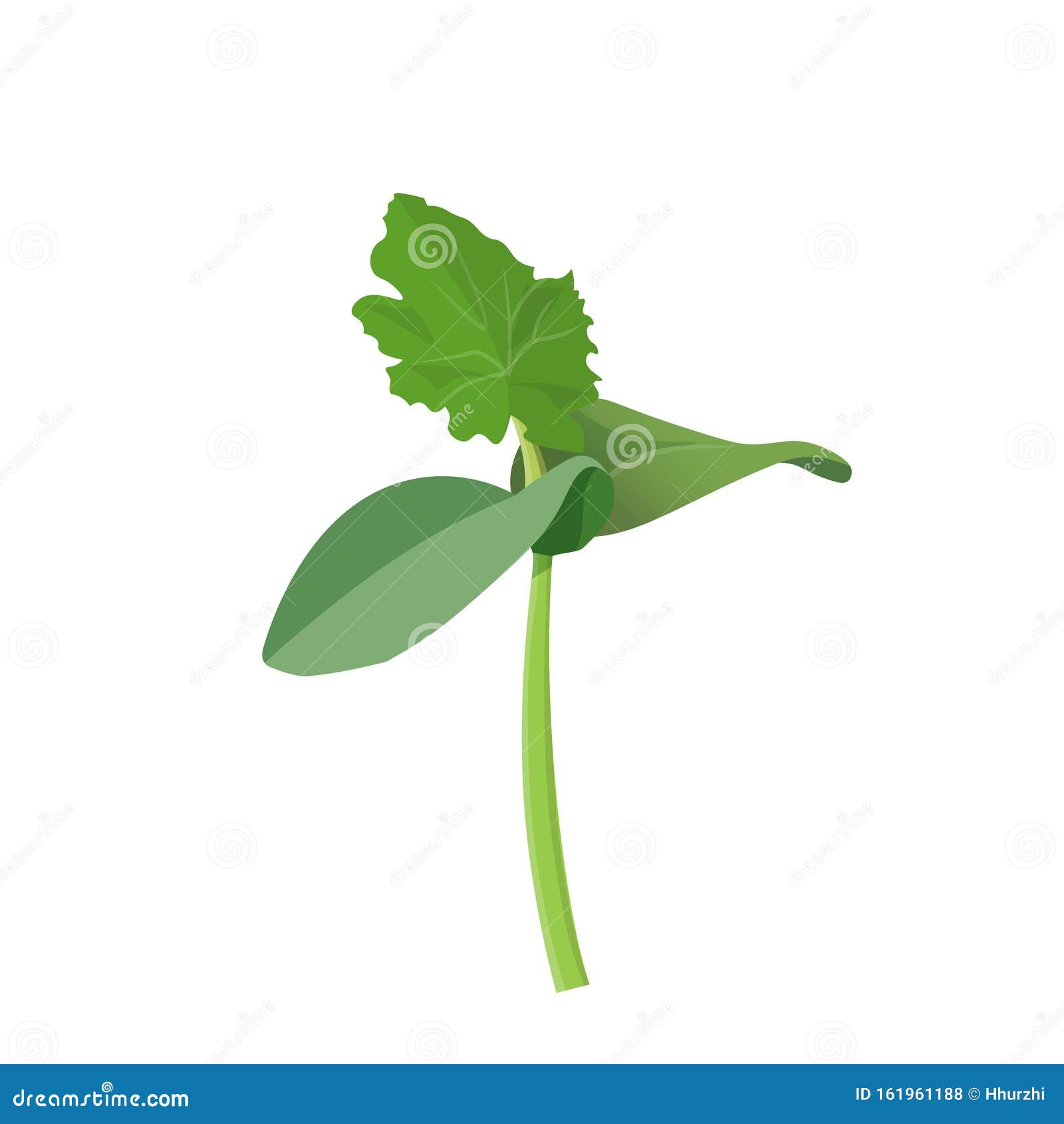 A Young Sprout In Dirt Isolated On White, Eco-friendly Abstract ...