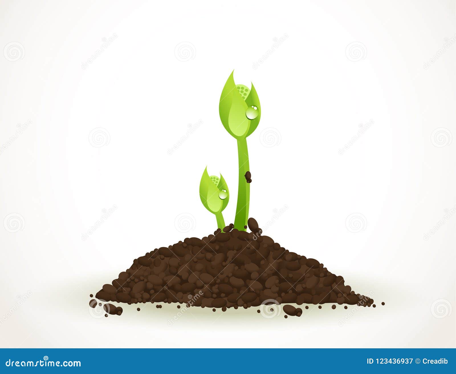 A Young Sprout in Dirt Isolated on White, Eco-friendly Abstract ... A Young Sprout in Dirt Isolated on White, Eco-friendly Abstract ...
