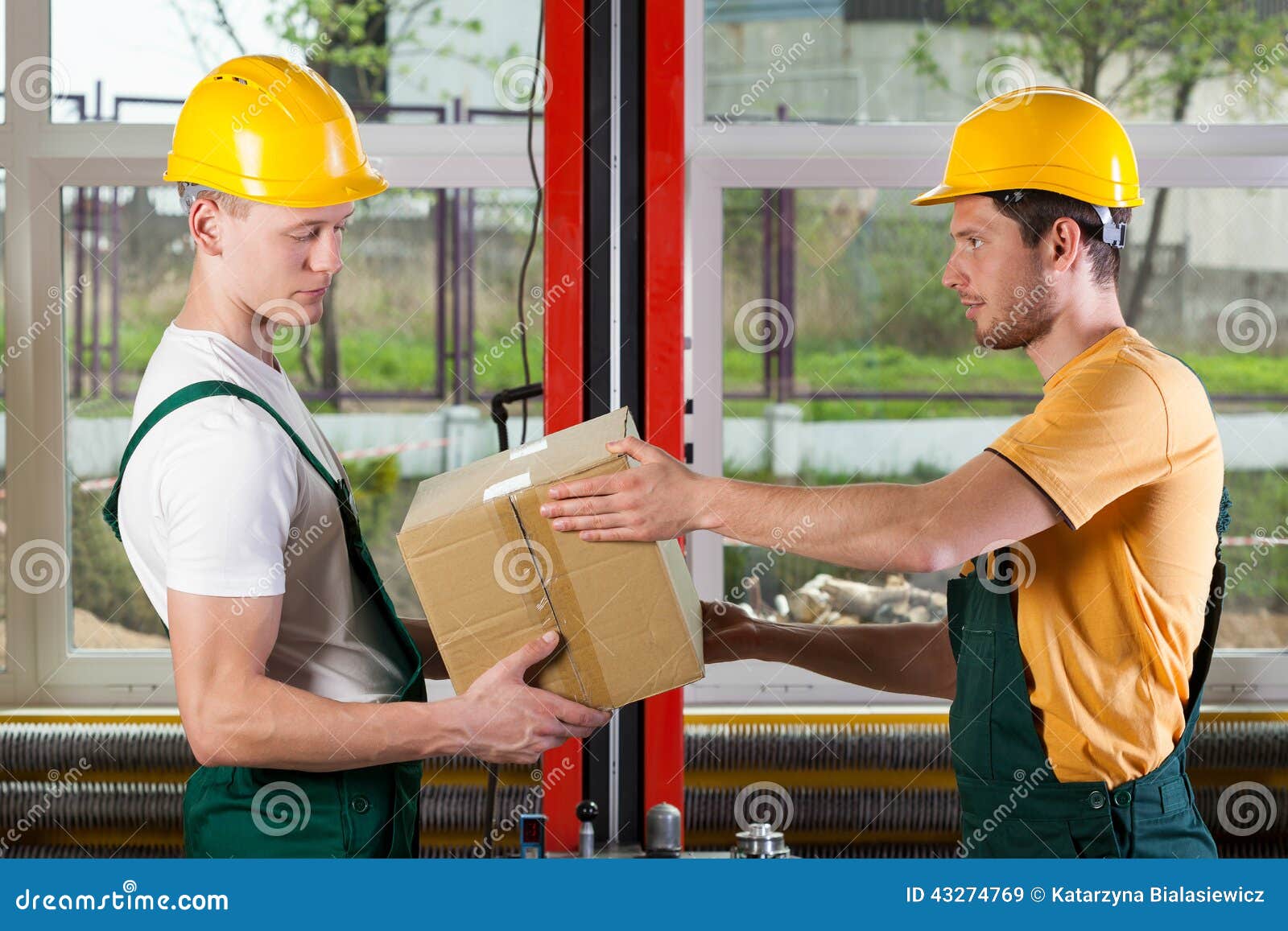 Young storekeepers at work stock image. Image of lifting - 43274769