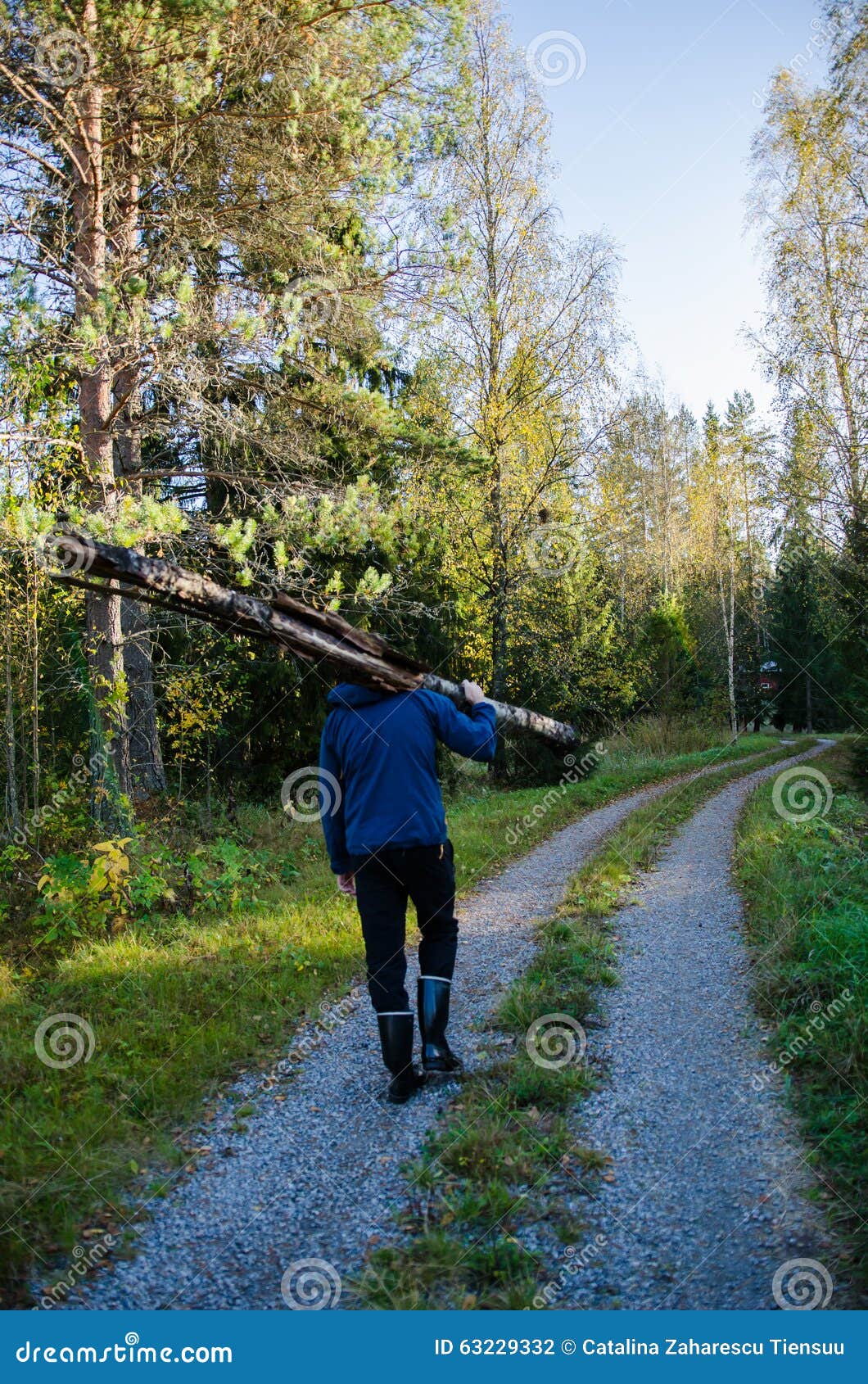 Young Strong Man Carrying Logs in the Woods Stock Photo - Image of ...