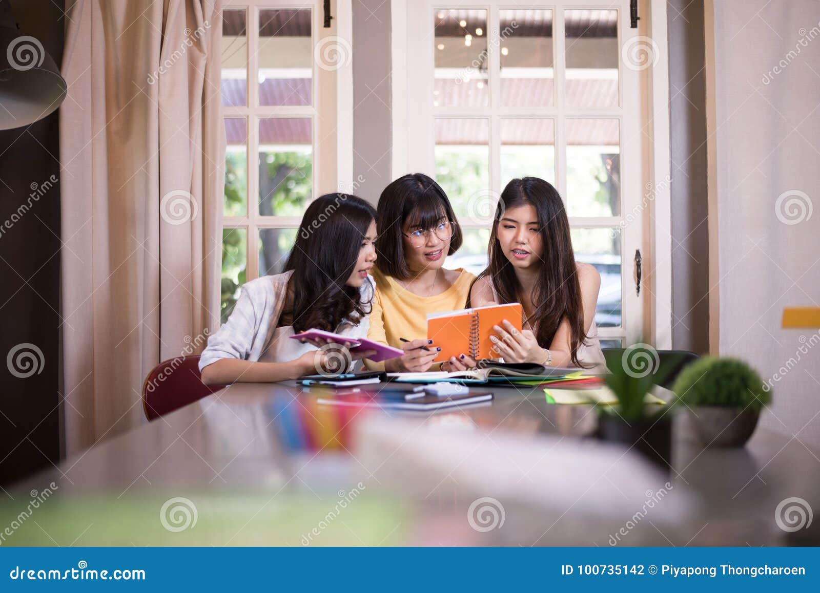 Young Student Discussing Things and Working on a Project while Sitting ...