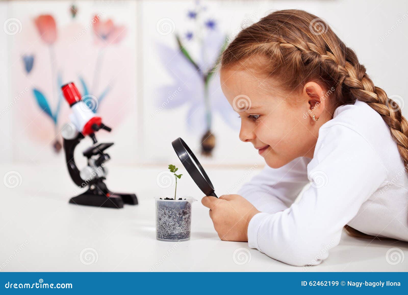 Young Student Studies Small Plant Stock Image - Image of laboratory ...