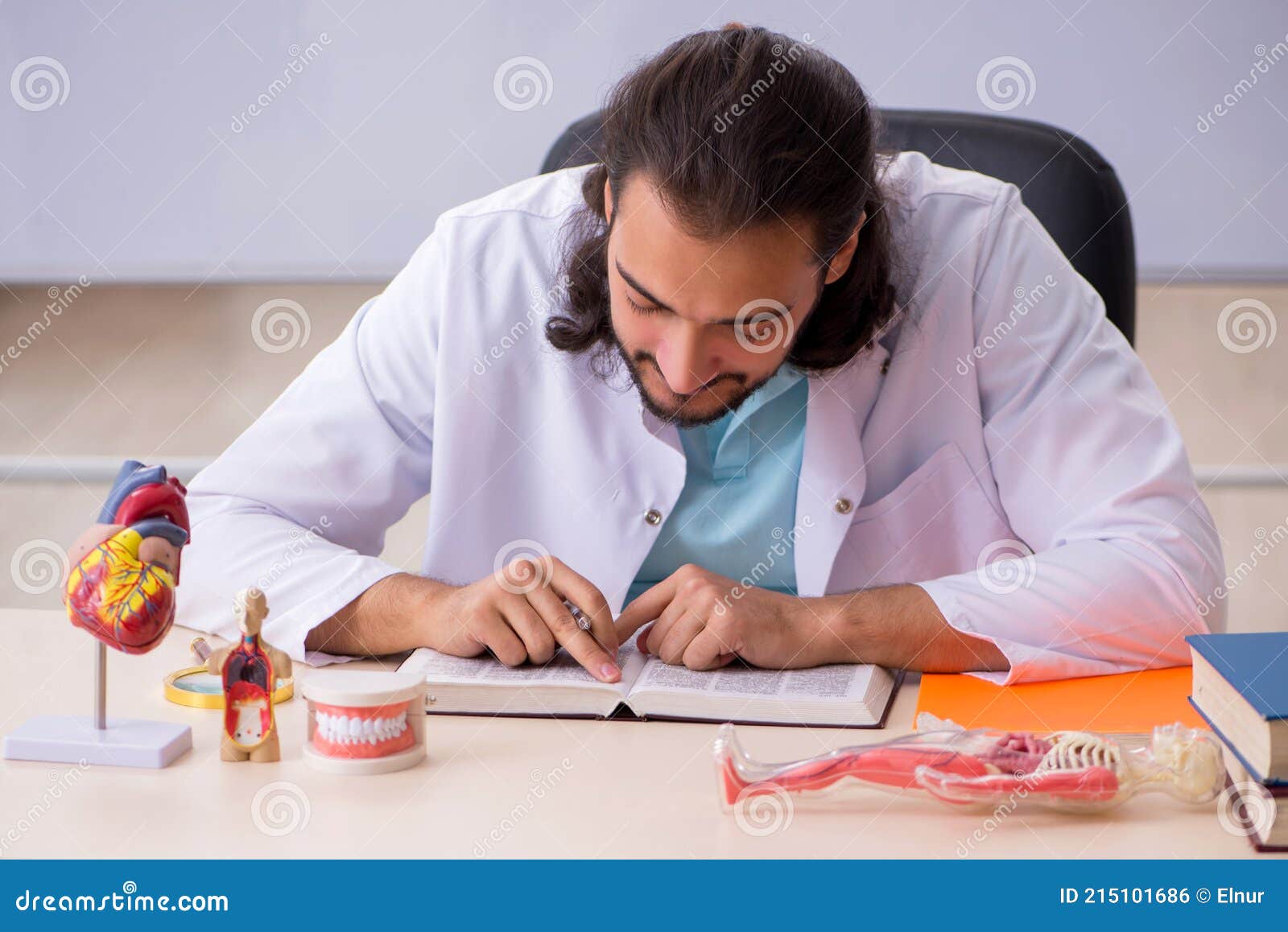 Young Male Student Studying Human Anatomy Stock Photo - Image of books ...