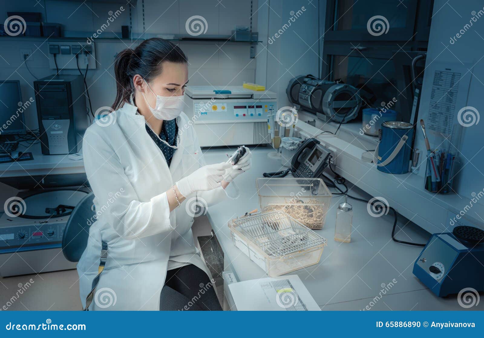 Young Student or Tech with Laboratory Mouse Stock Photo - Image of ...