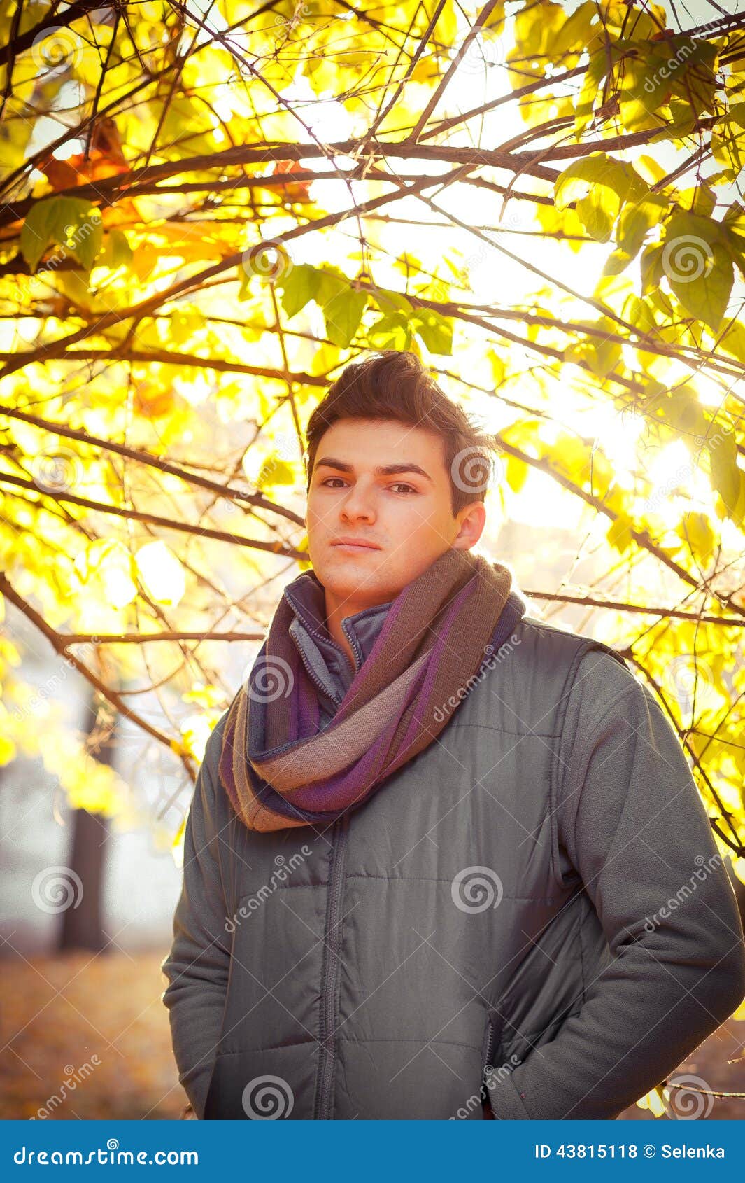 Young Stylish Man Standing Under a Tree. Stock Photo - Image of pretty ...