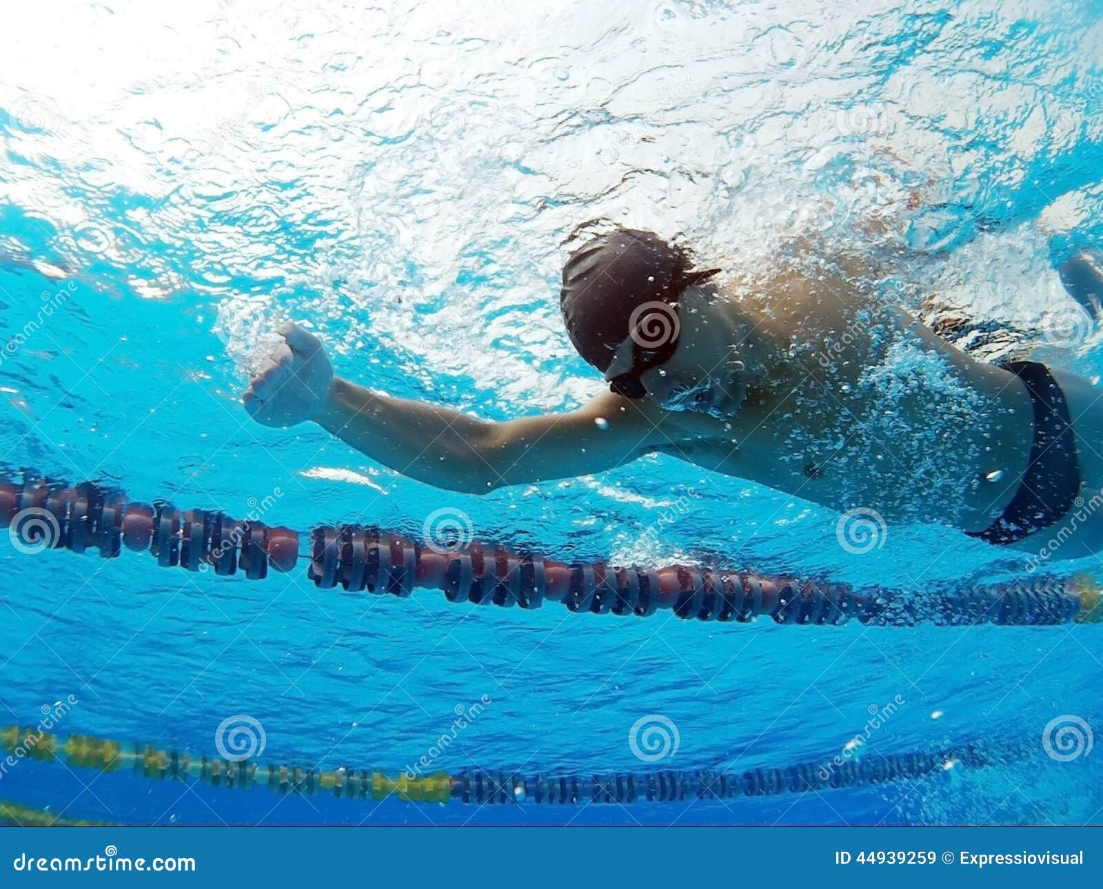 Young swimmer in pool stock image. Image of adult, swimmer - 44939259