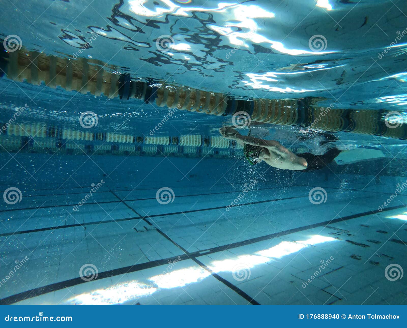 Young Swimmer Training Inside the Swimming Pool Stock Photo - Image of ...
