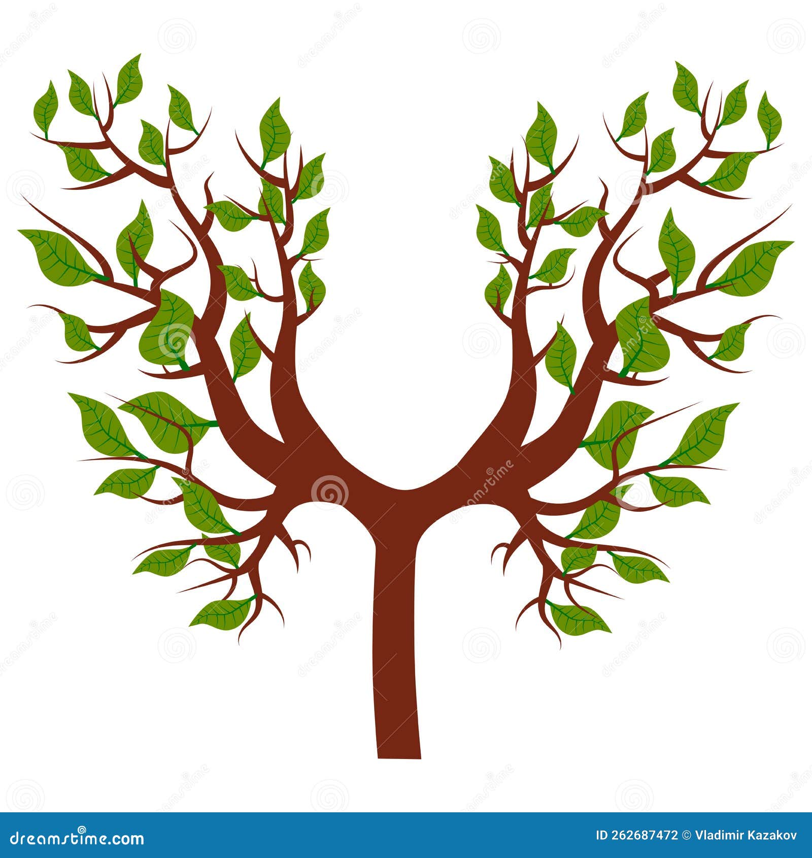 Young Symmetrical Tree with Green Leaves Isolated on White. Design ...